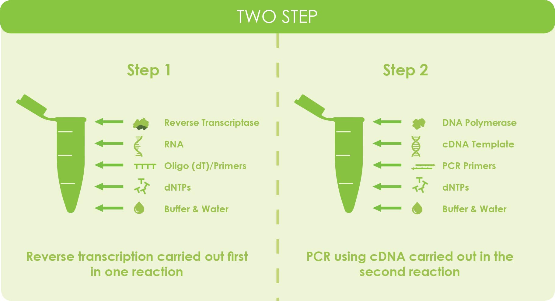 Reverse Transcriptase CDNA Overview Applications GoldBio